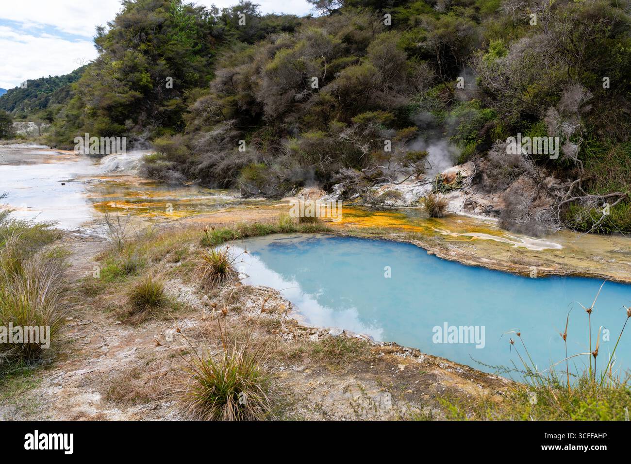 Photograph of Warbrick Terrace at Waimangu Volcanic Valley near Rotorua ...