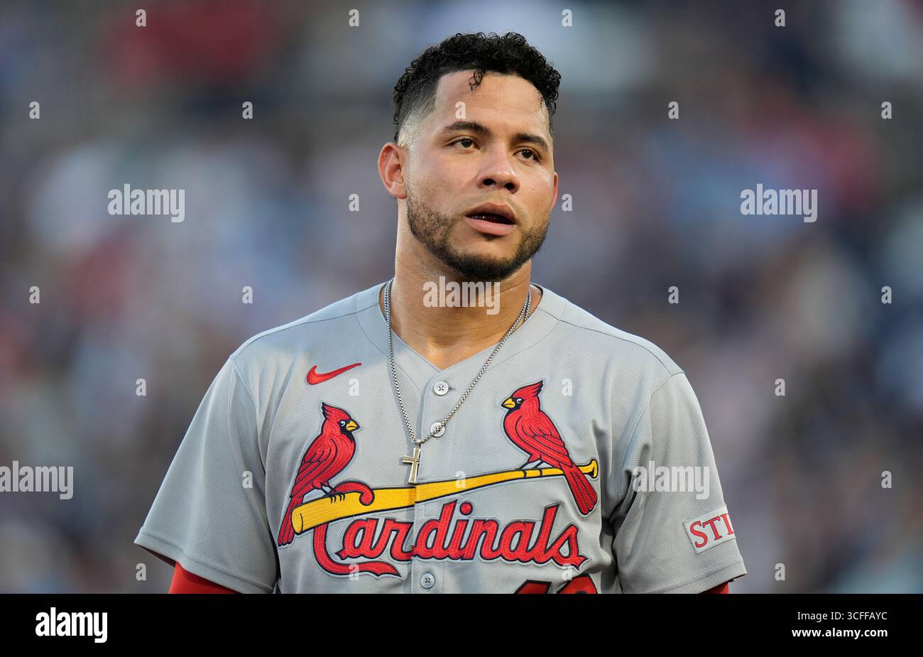 St. Louis Cardinals' Willson Contreras against the Tampa Bay Rays ...