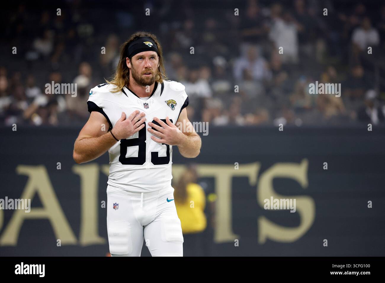 Jacksonville Jaguars wide receiver Trenton Irwin (83) warms up before ...