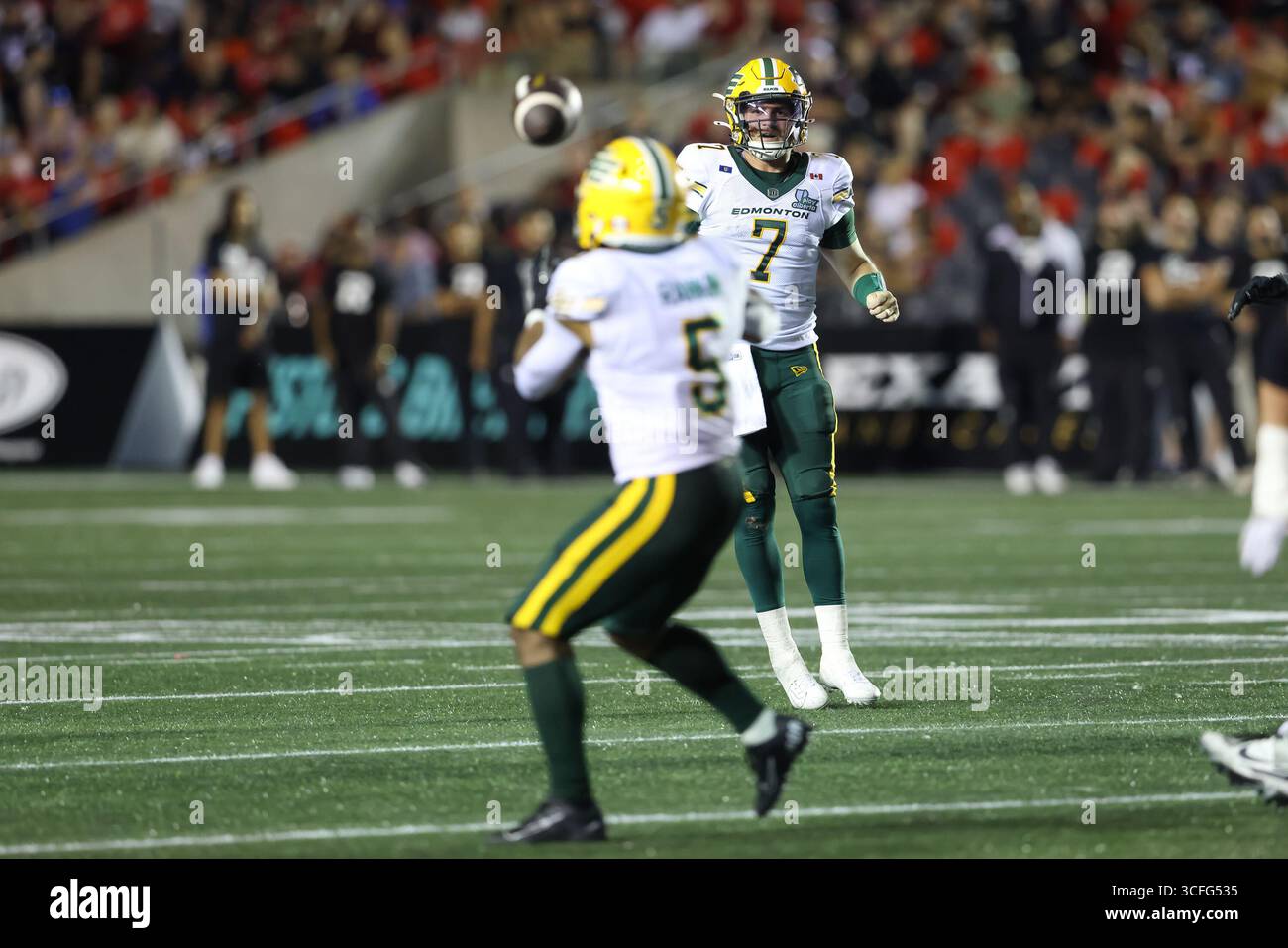 August 22, 2025: Edmonton Elks quarterback Cody Fajardo (7) watches his ...