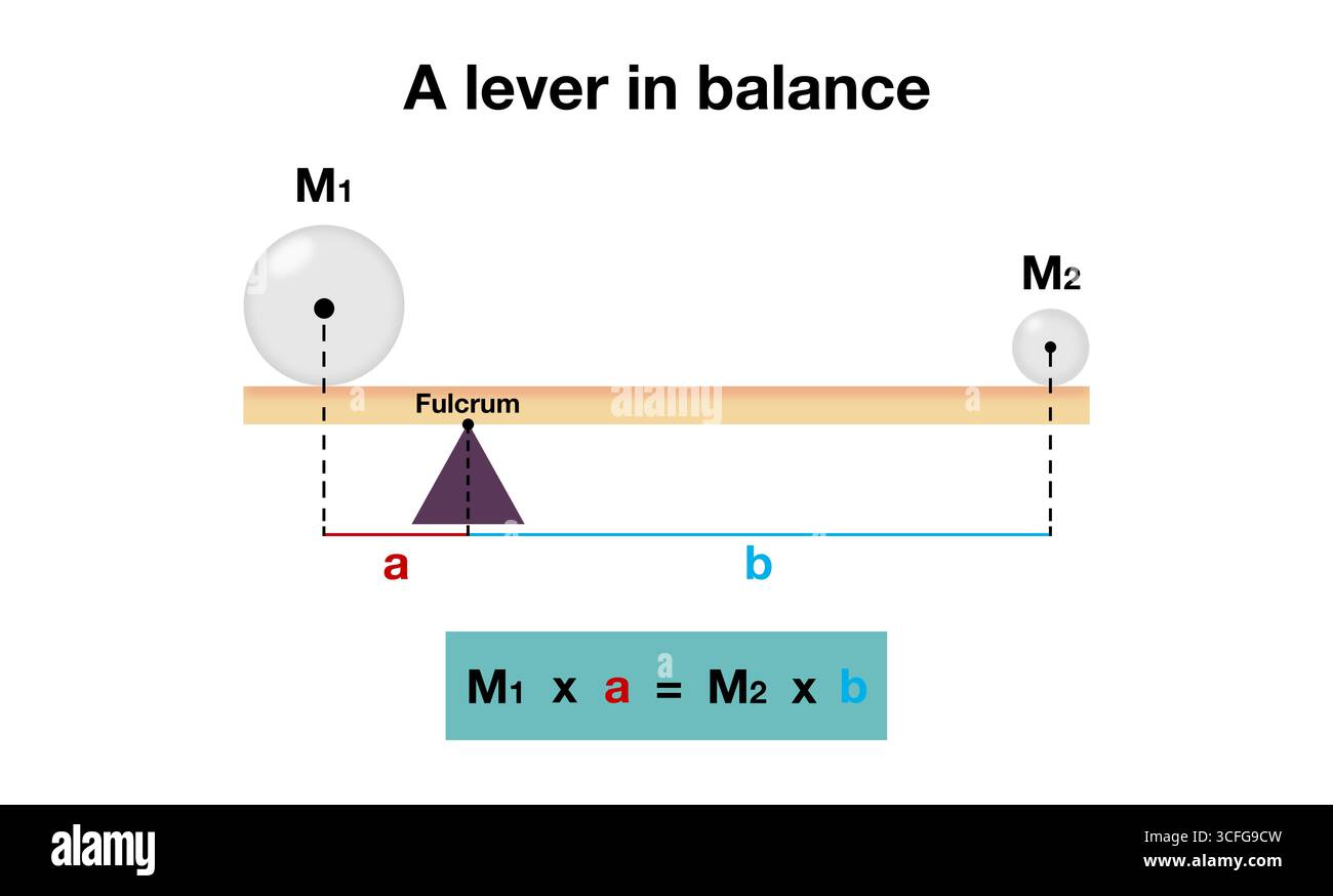 Fulcrum Cut Out Stock Images & Pictures - Alamy