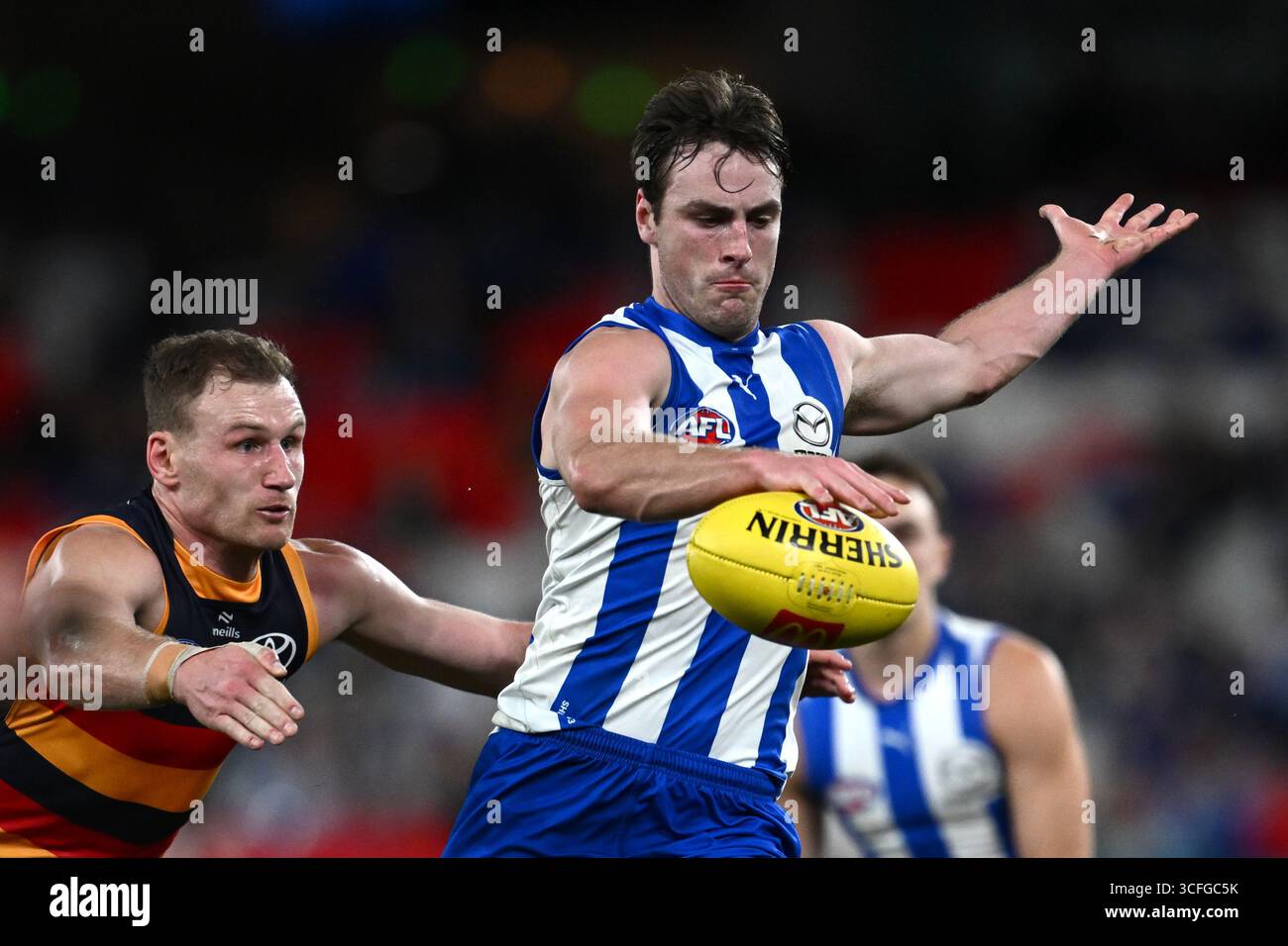 George Wardlaw of North Melbourne during the AFL Round 24 match between ...