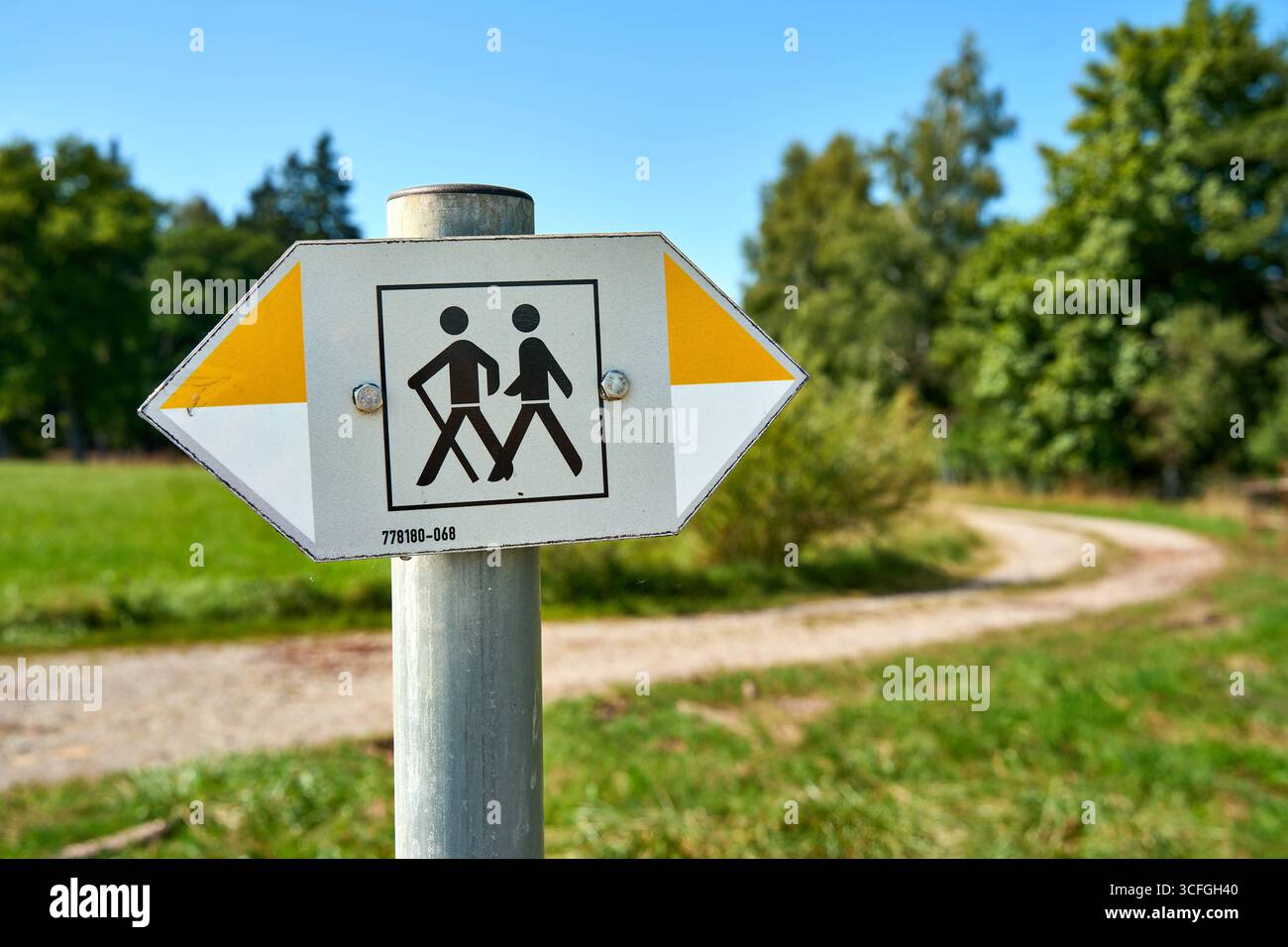 Feldweg in einem wald hi-res stock photography and images - Alamy