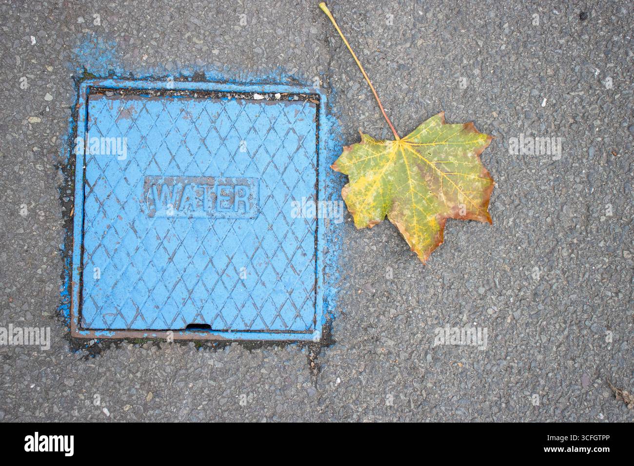 MARSH BARTON, EXETER, DEVON, UK - SEPTEMBER 24, 2024 blue painted water ...