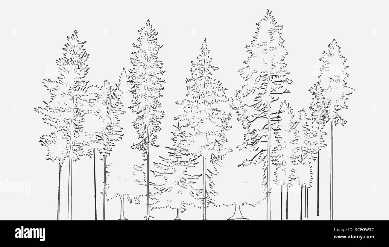 Tree line drawing hi-res stock photography and images - Alamy