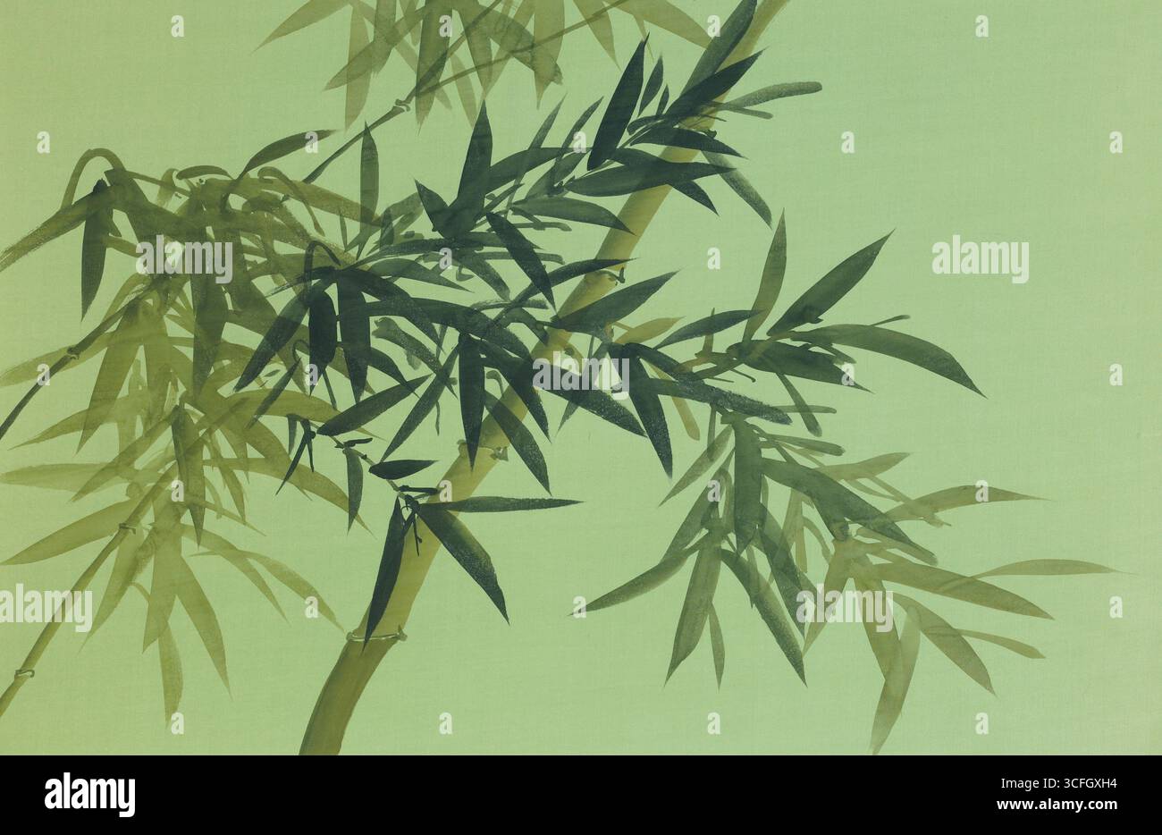 Bamboo bush in a traditional chinese wallpaper Stock Photo - Alamy