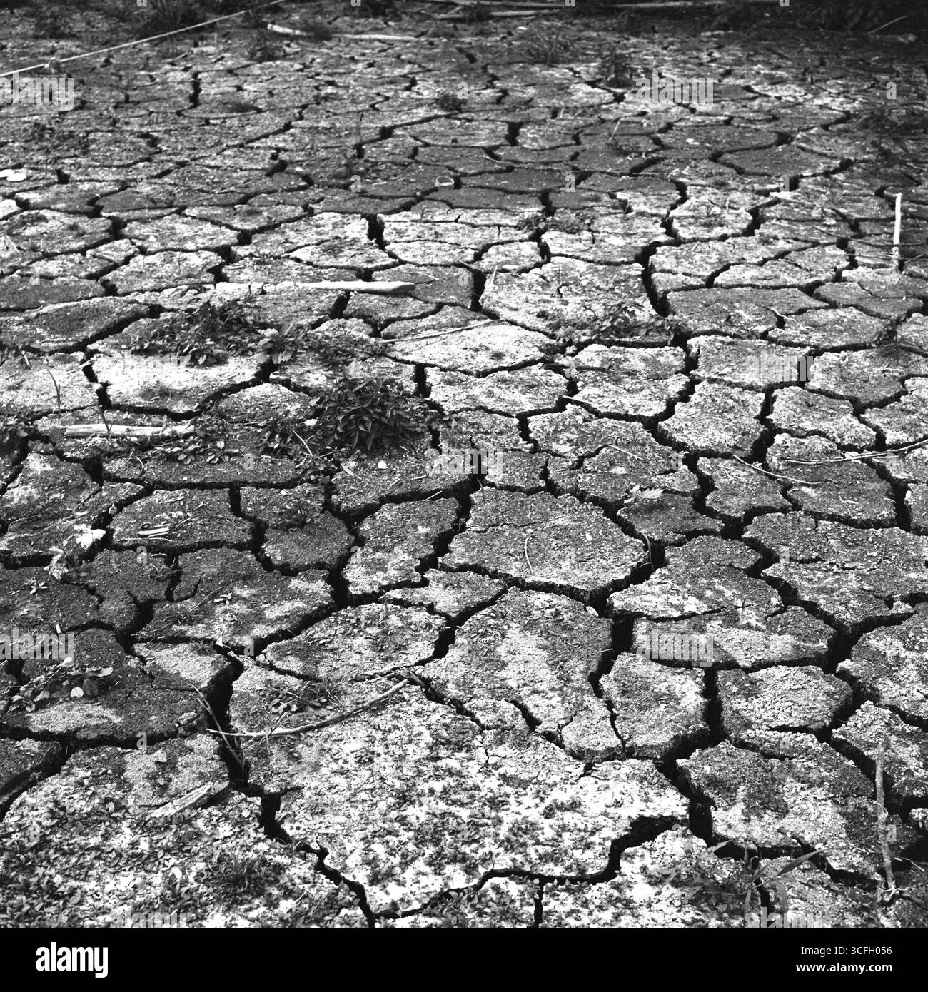 Cracked dry land without Black and White Stock Photos & Images - Alamy