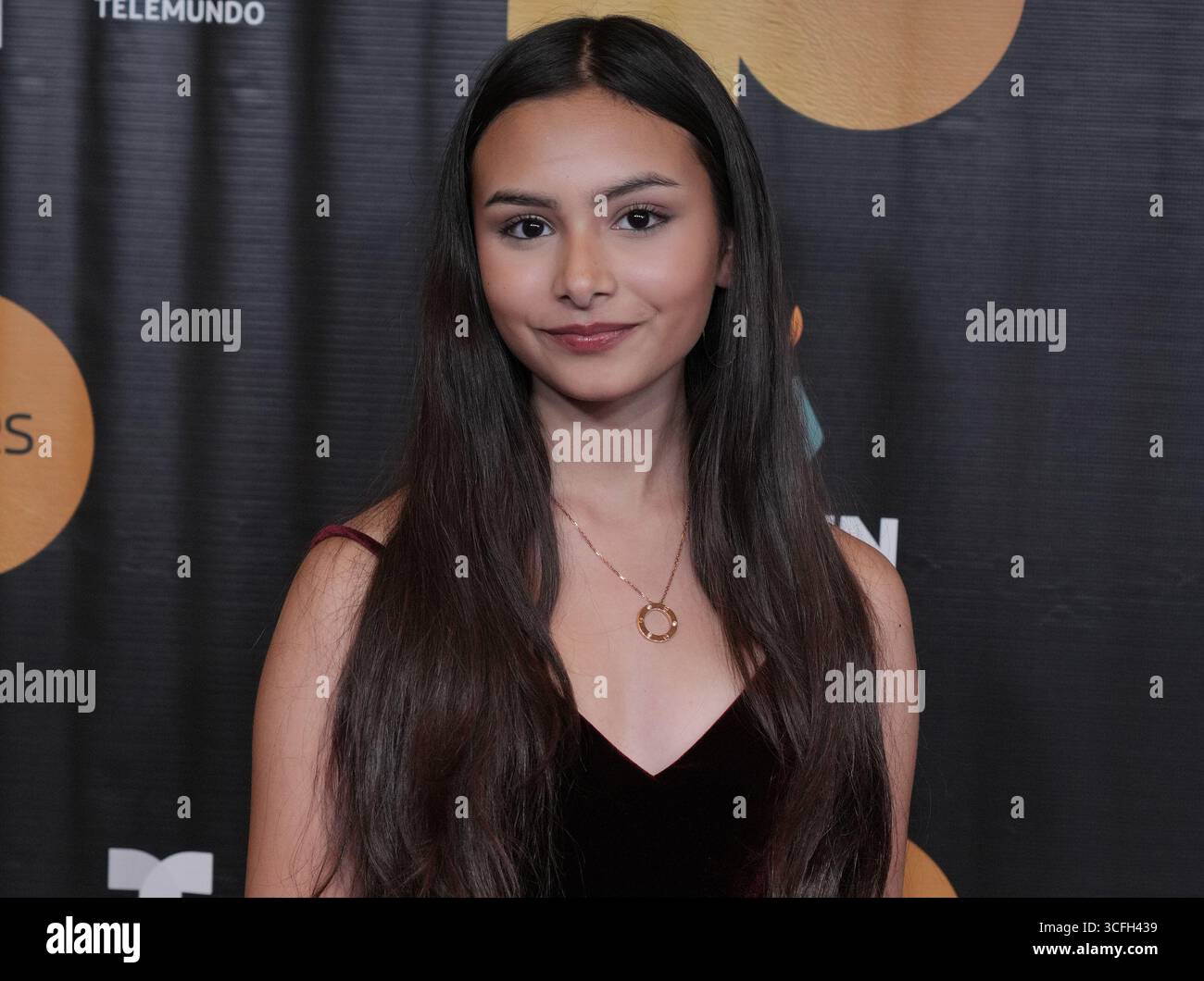 Elizabeth Phoenix Caro arrives at The 40th Annual Imagen Awards held at ...