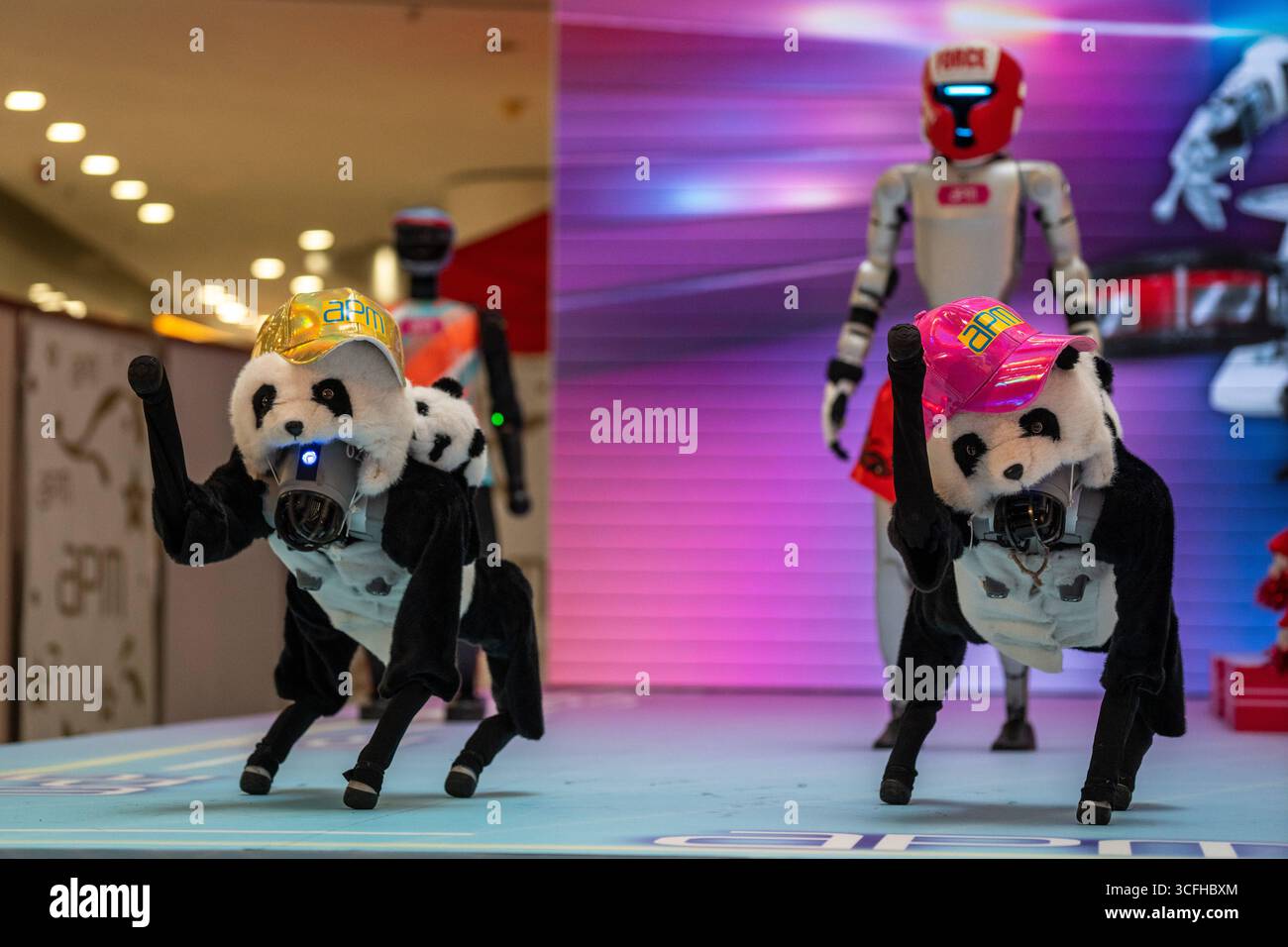 Hong Kong AI Robot Event Panda robots at an AI Robot Event inside a ...