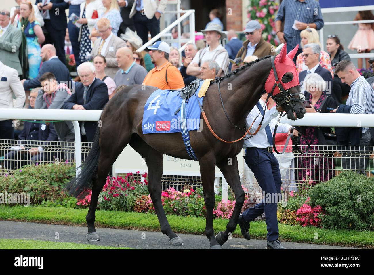 Never So Brave in the parade ring ahead of the Sky Bet City Of York ...