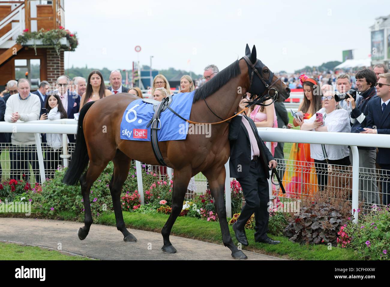 Quinault in the parade ring ahead of the Sky Bet City Of York Stakes ...