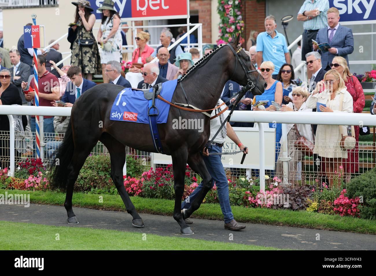 Boiling Point in the parade ring ahead of the Sky Bet Strensall Stakes ...