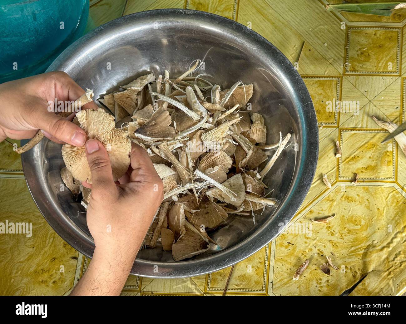 Lipa, Malepunyo mountain range, Philippines. August 23,2025: Preparing ...