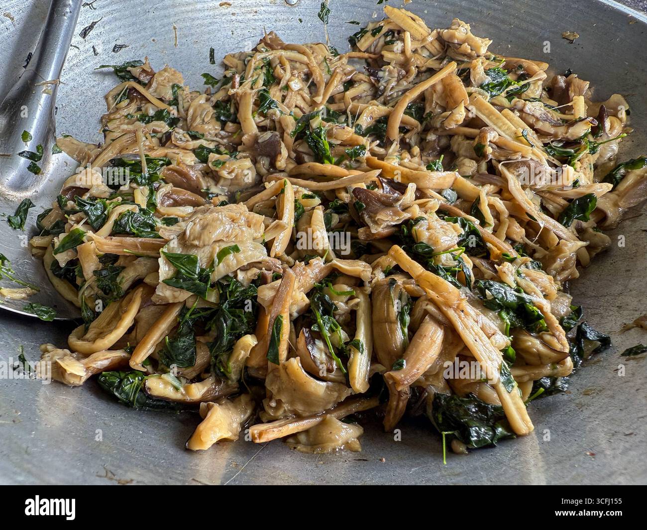 Ligbus hi-res stock photography and images - Alamy