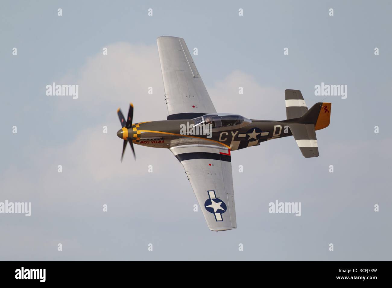 North American Aviation P-51 Mustang warbird military aircraft in ...
