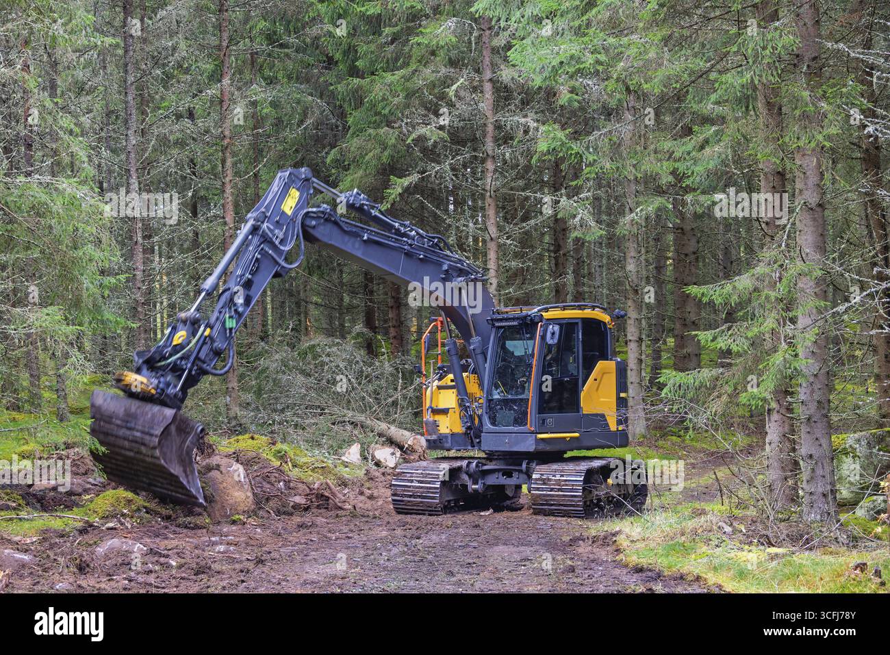 Excavator in woods road hi-res stock photography and images - Alamy