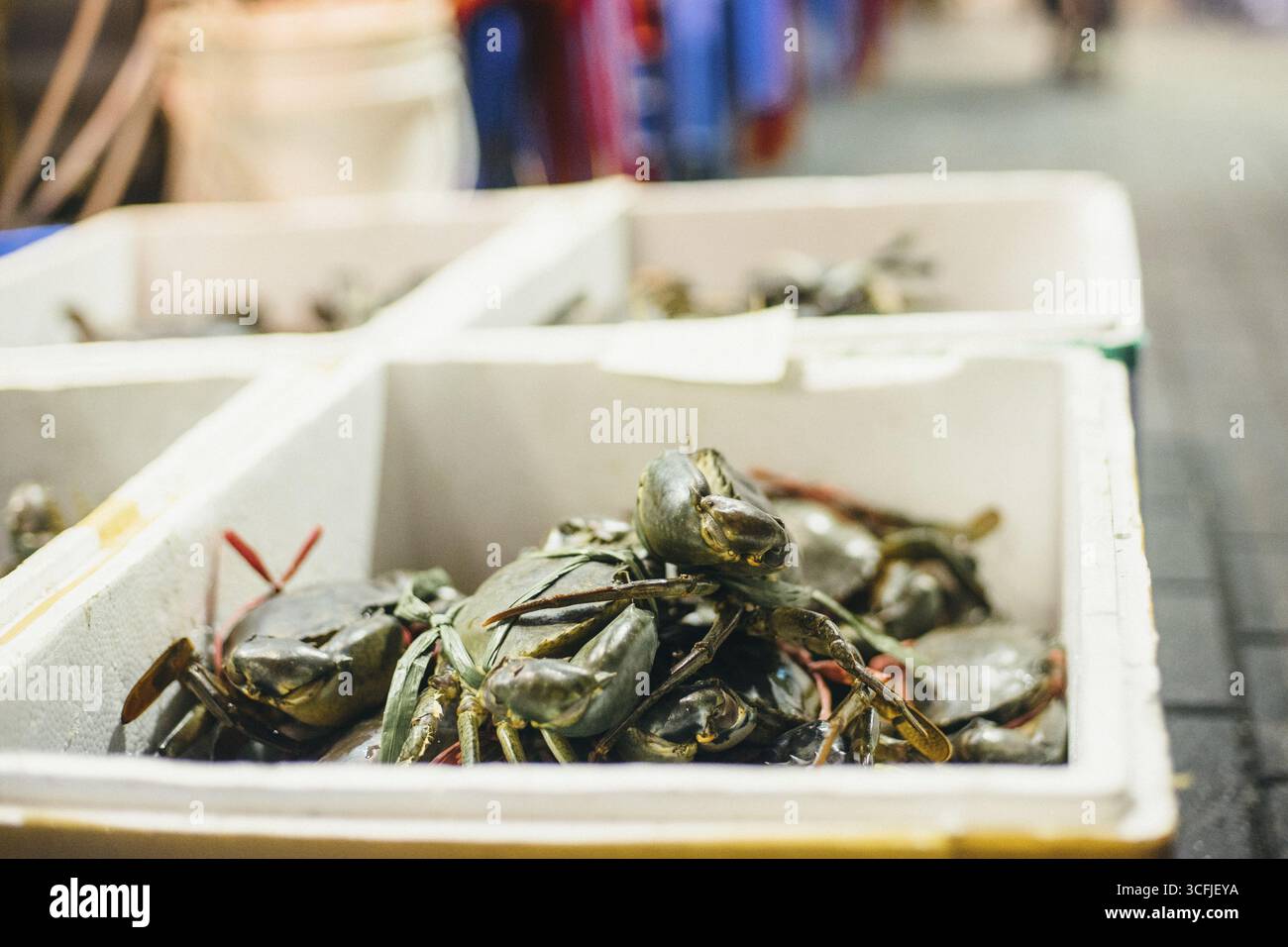 Alive crabs for seafood restaurant in Hong Kong Stock Photo - Alamy