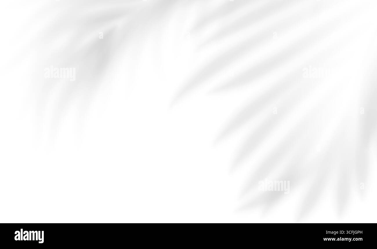 Shadow branches on gray Stock Vector Images - Alamy