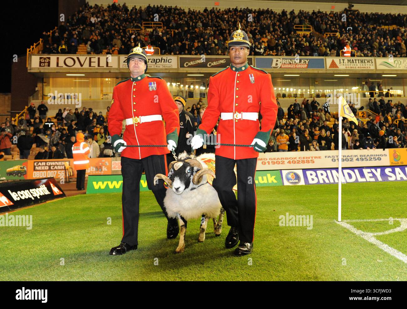 The Mercian Regiment's mascot a Swaledale ram, known as Private Derby ...
