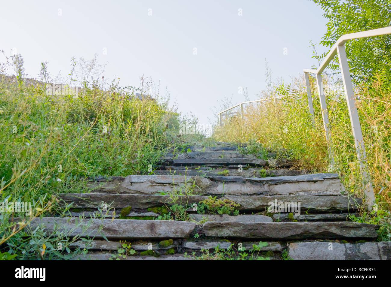 Experience serene walk through hi-res stock photography and images - Alamy