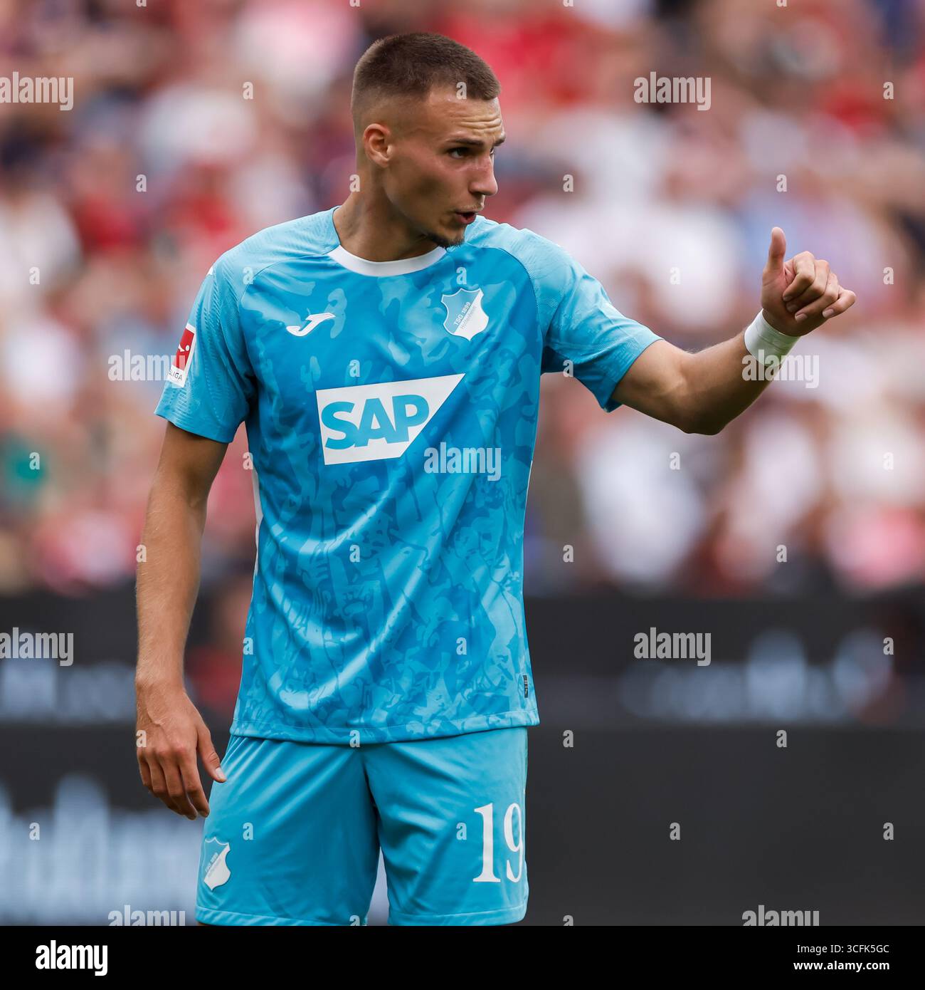 Tim Lemperle of Hoffenheim looks on during the German 1. Bundesliga ...