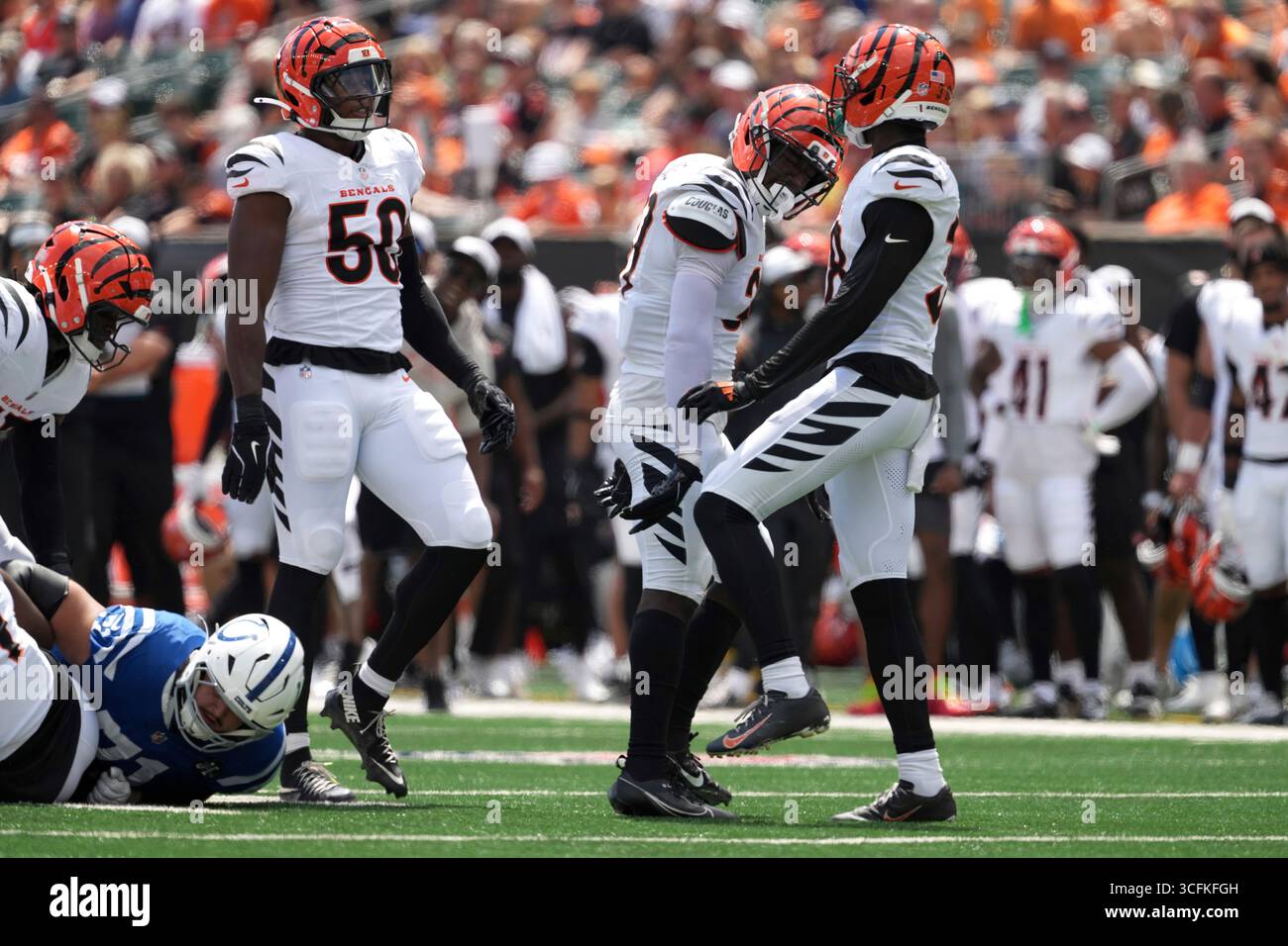 Cincinnati Bengals safety PJ Jules (37), center, celebrates a tackle ...