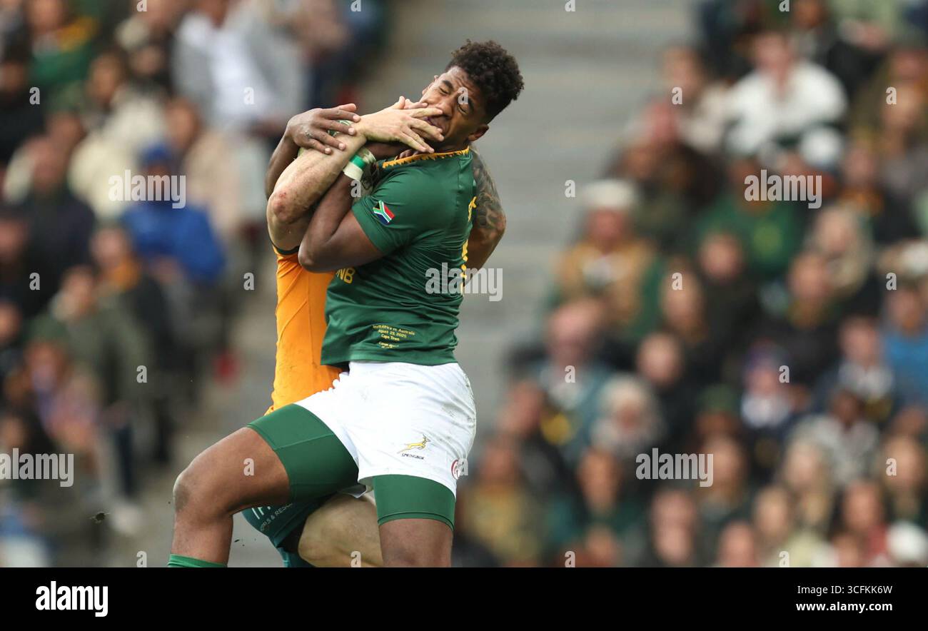 Springboks rugby moodie hi-res stock photography and images - Alamy