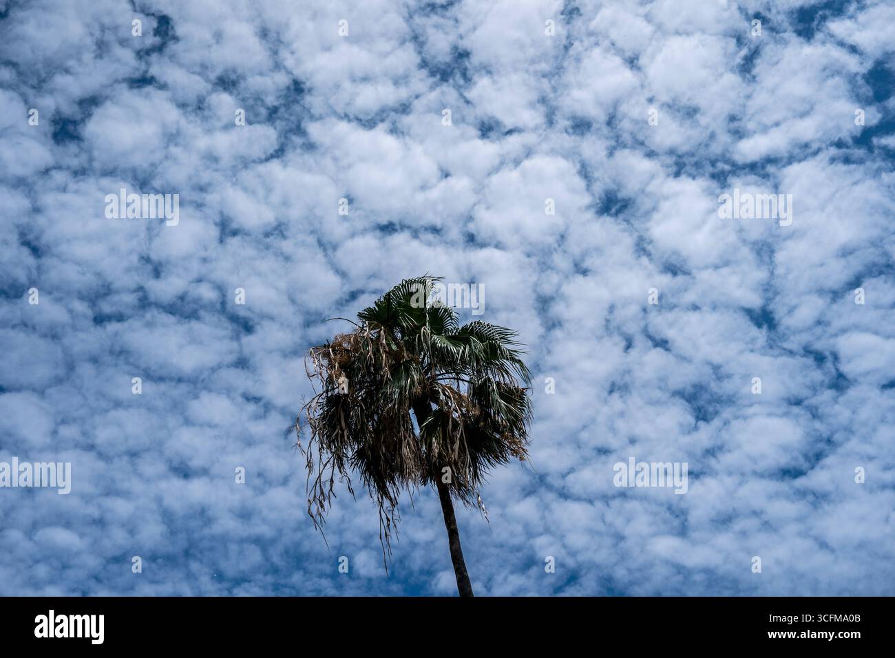 Hong kong 27 may hi-res stock photography and images - Alamy