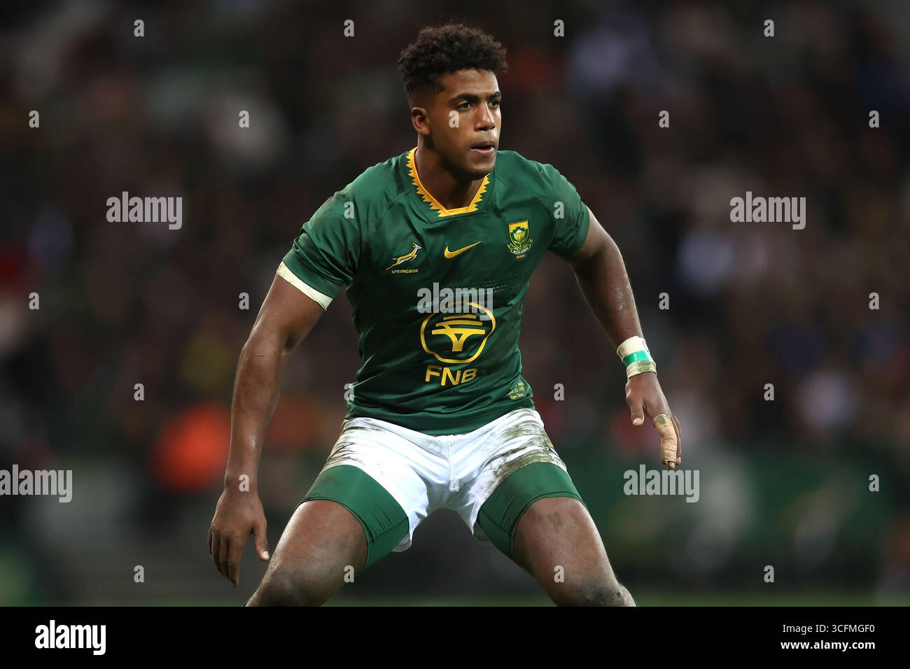 Springboks rugby moodie hi-res stock photography and images - Alamy