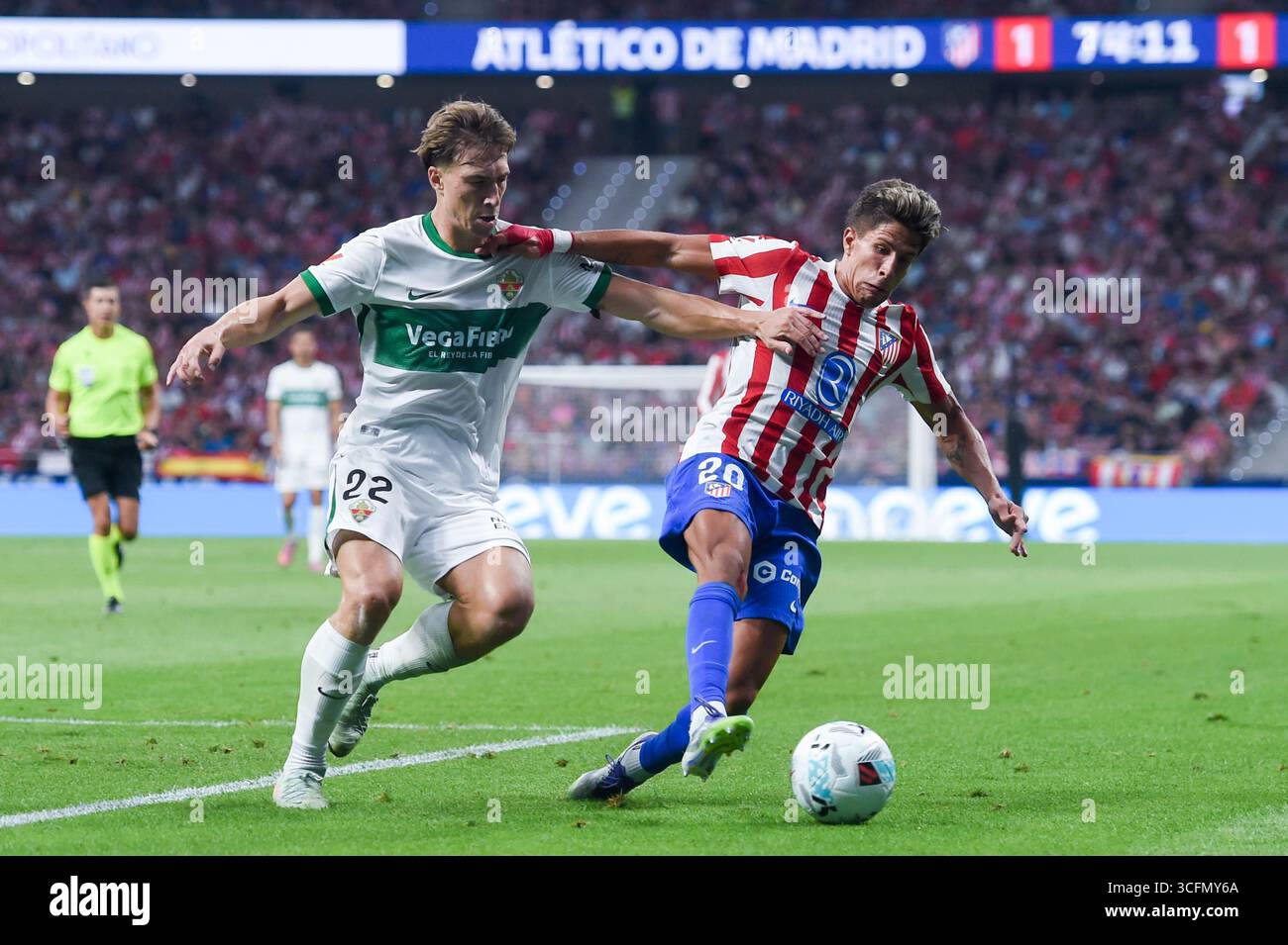 David affengruber elche 2025 hi-res stock photography and images - Alamy