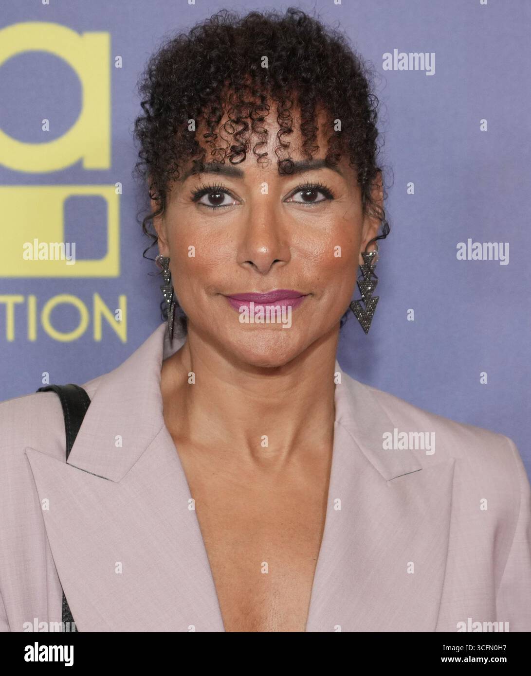 Amy Dubois Barnett arrives at the 7th Annual AAFCA TV Honors held at ...