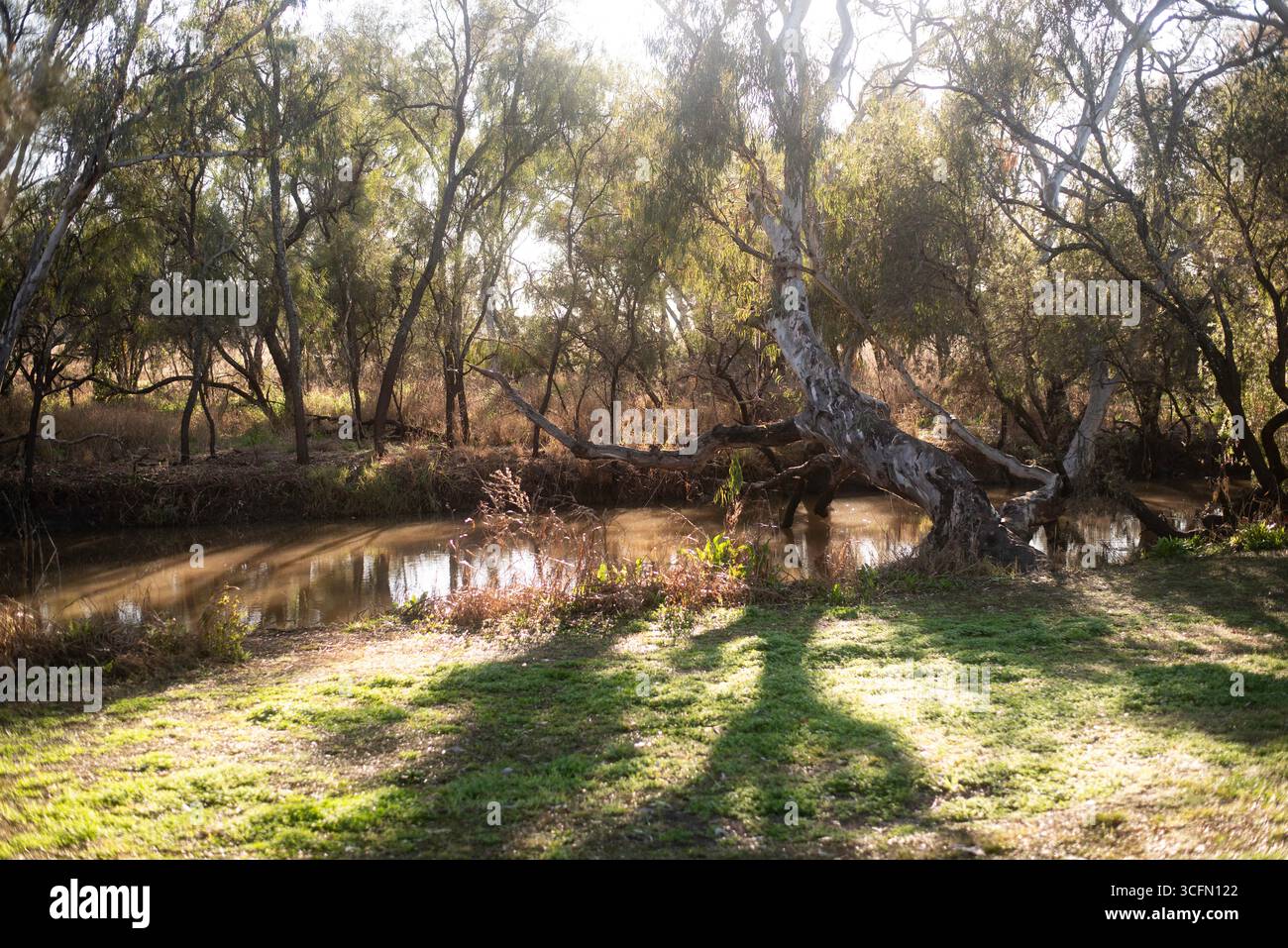 Rural regional australia hi-res stock photography and images - Alamy