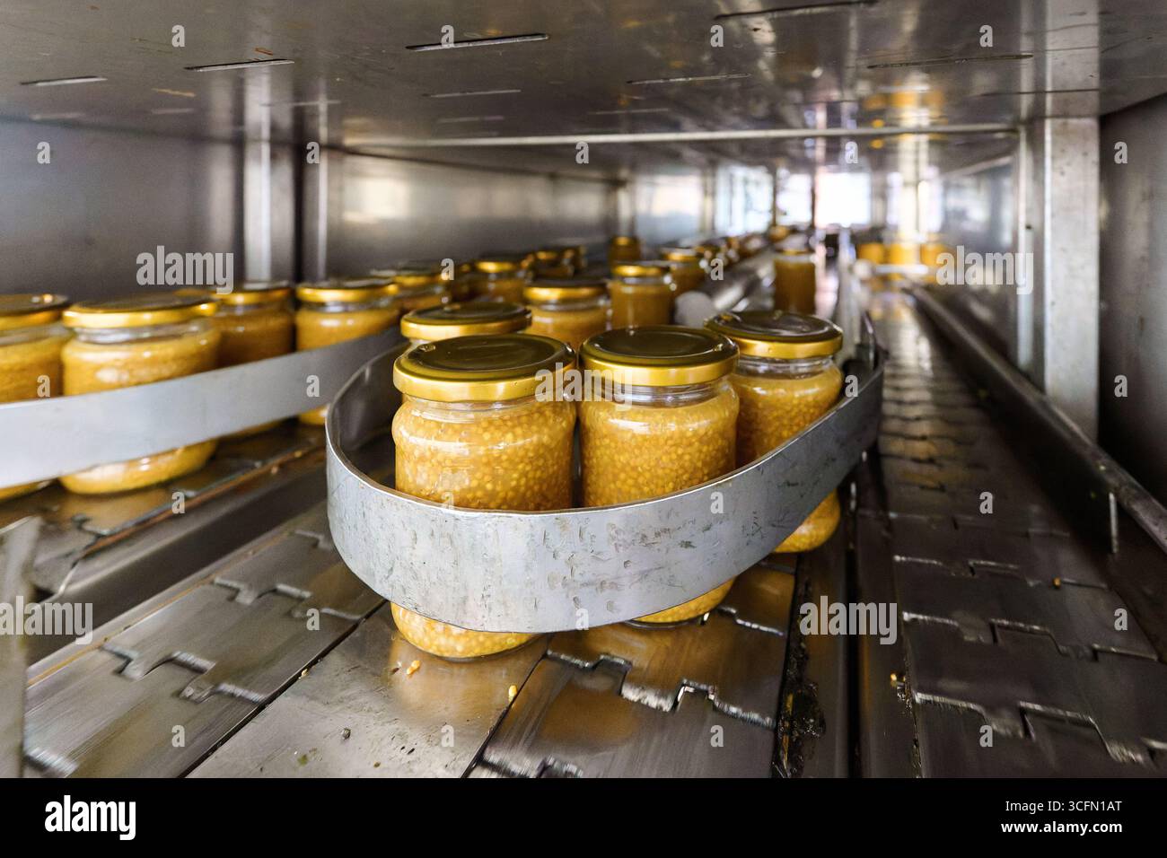 Mustard production process showcasing glass jars being filled and ...