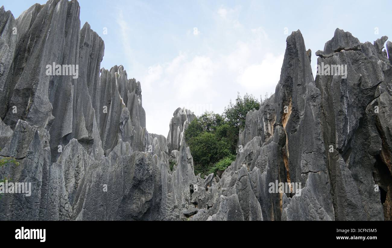 The Stone Forest (Shilin) in Yunnan, China,a world-renowned karst ...