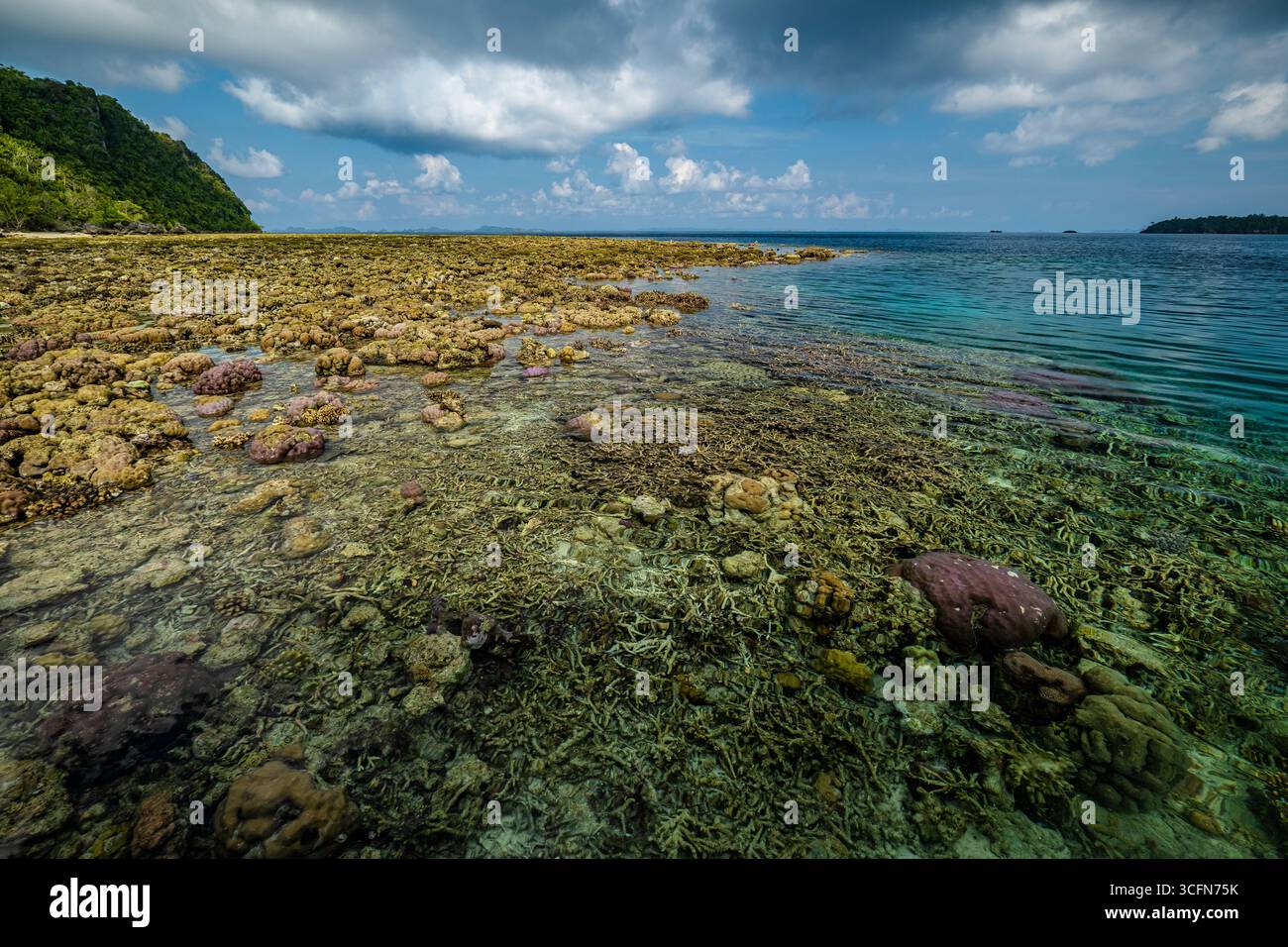 Yillret island, also known as Shark sanctuary in Misool Taken @Misool ...