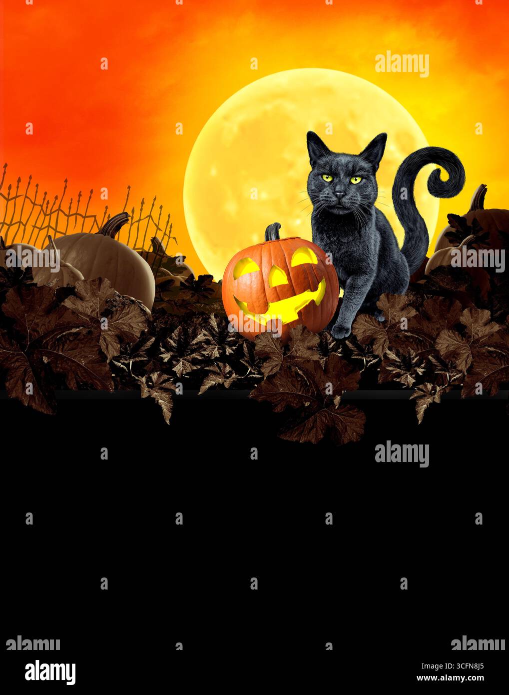 Background halloween party poster hi-res stock photography and images ...