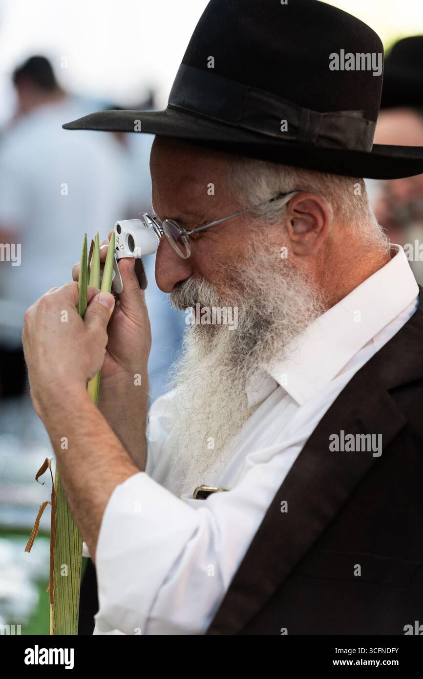 Insspect hi-res stock photography and images - Alamy