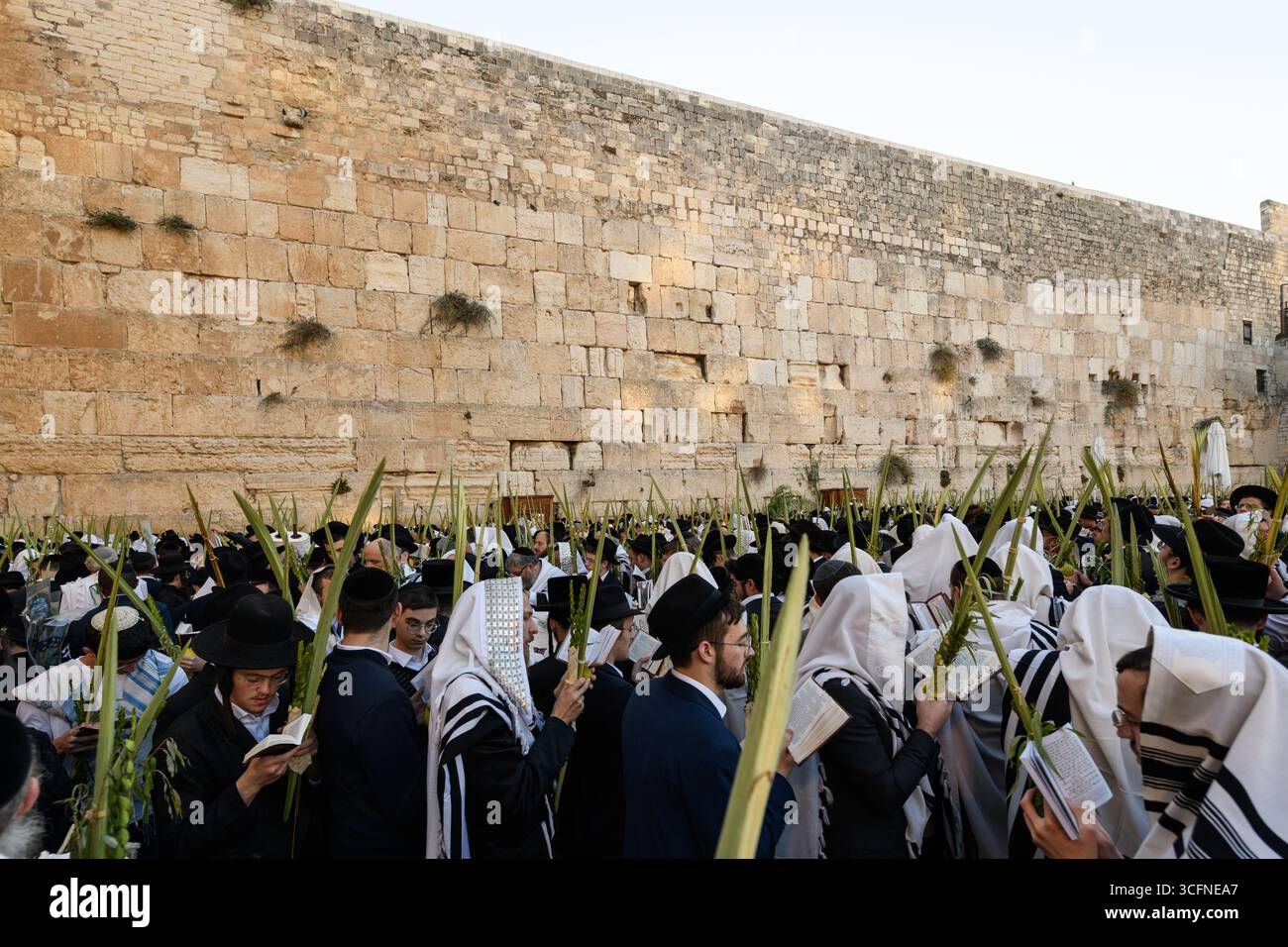 Hoshanas hi-res stock photography and images - Alamy