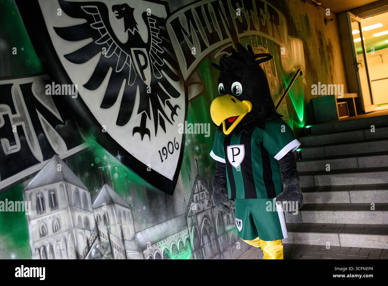 MUNSTER, GERMANY - 22 AUGUST, 2025: Adler, mascot, The football match ...