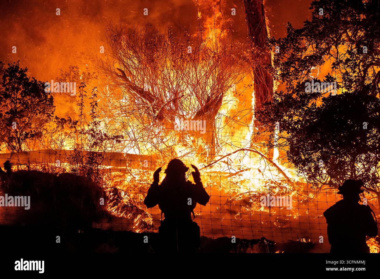 Firefighters battle the Pickett Fire burning in the Aetna Springs area ...