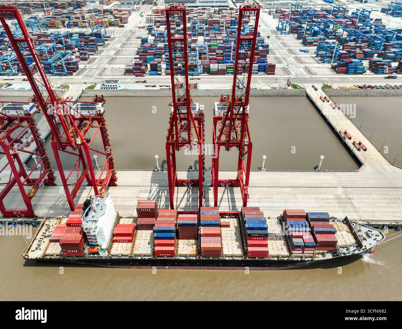 ZHOUSHAN, CHINA - AUGUST 24, 2025 - Cargo ships are loading and ...