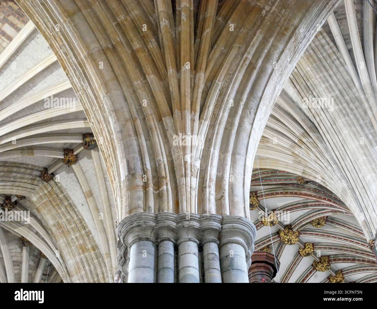 Ribbed Vaulted Ceiling of Exeter Cathedral, Exeter, Devon – Ornate ...