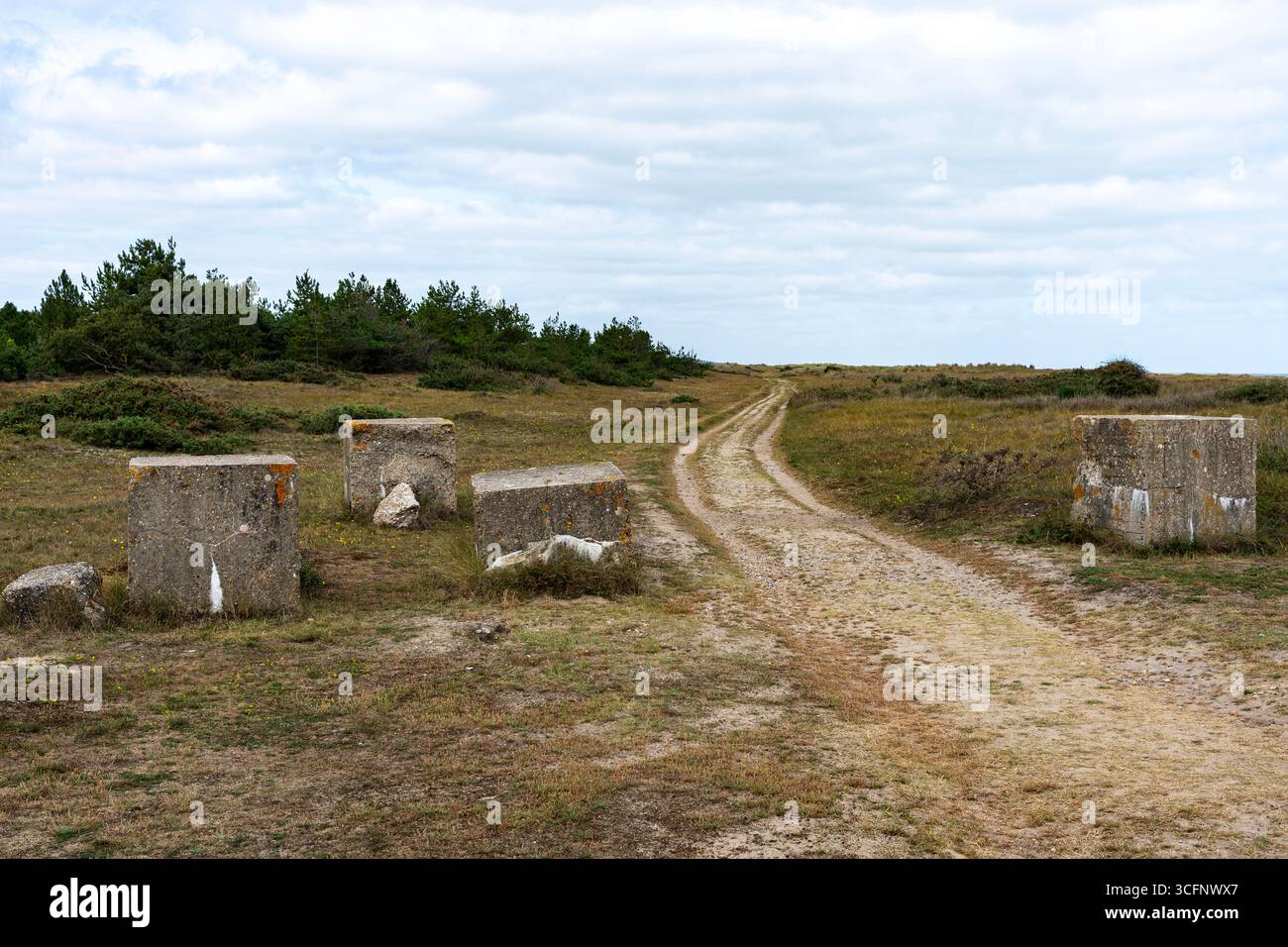 WW2 defensive concrete blocks Stock Photo - Alamy