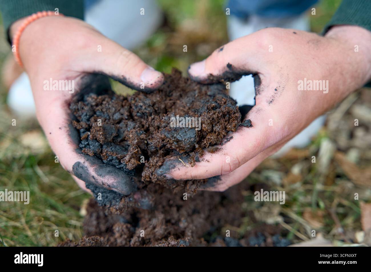 Adding biochar to soil for improving fertility and CO2 reduction. It ...
