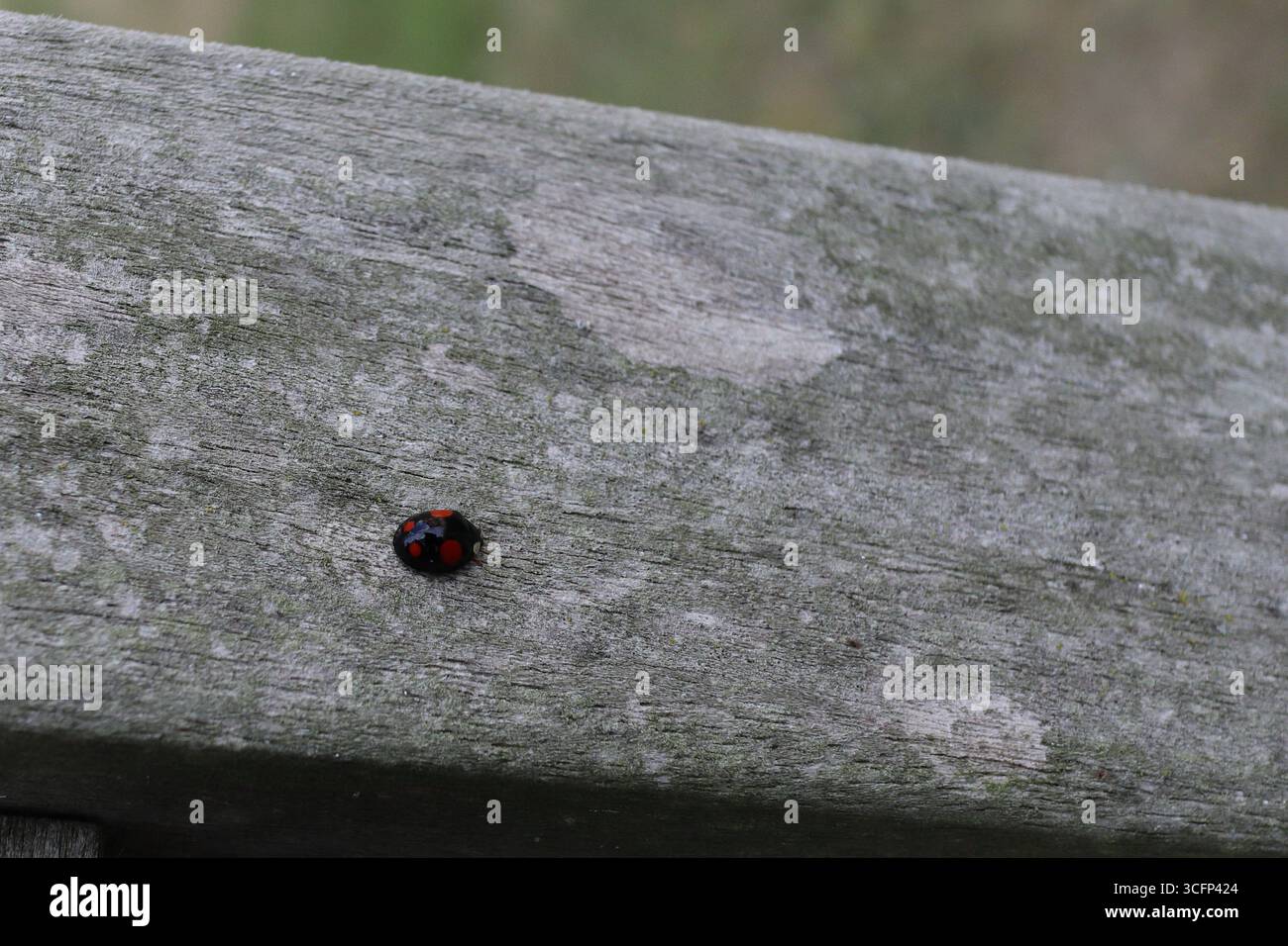 Black markings rests hi-res stock photography and images - Alamy