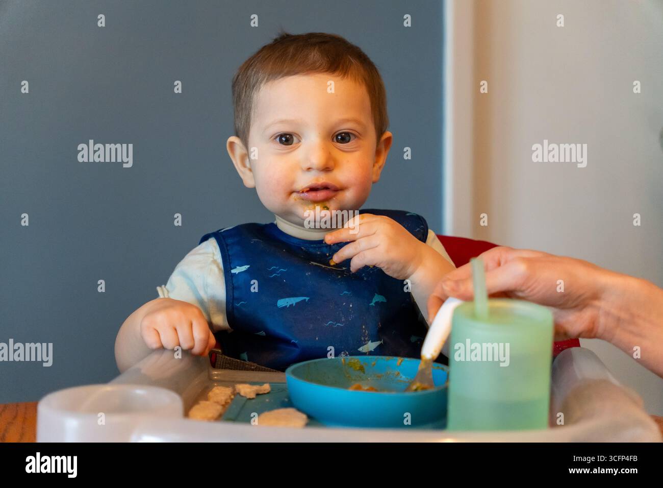 17 Months Old Stock Photo - Alamy
