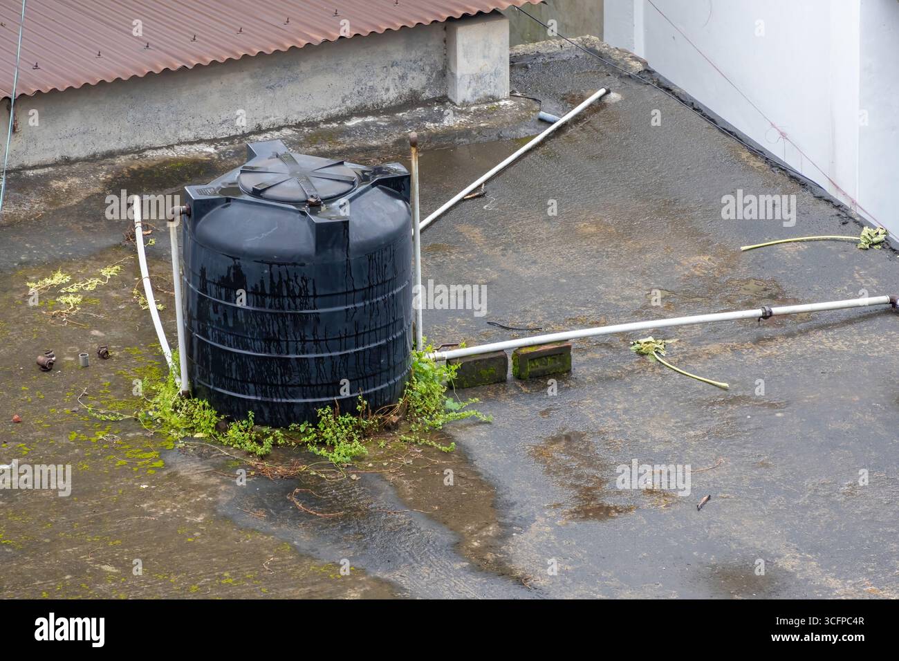 Black plastic water tank on a mossy residential roof in rural ...