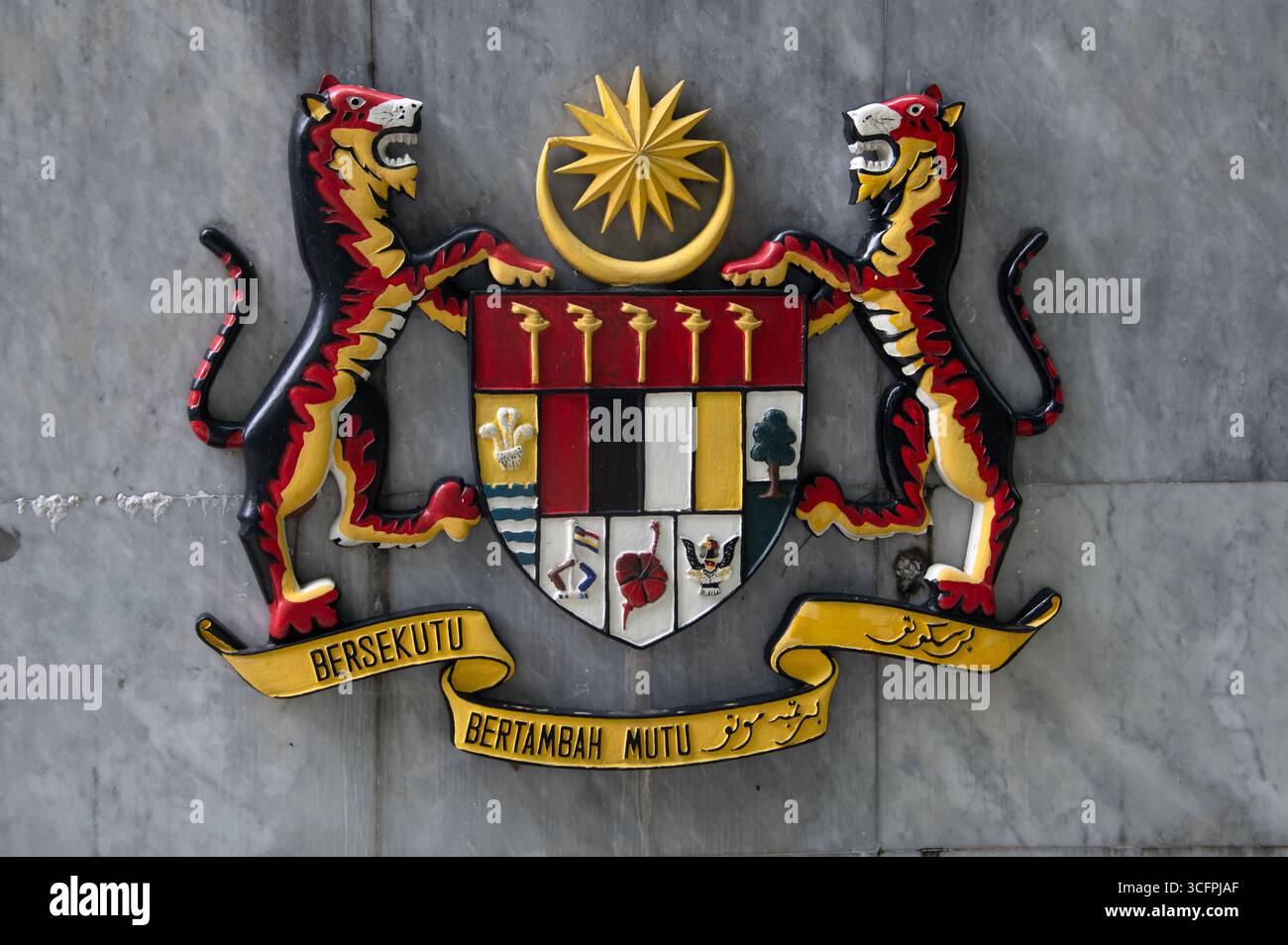 Tiger rampant proper hi-res stock photography and images - Alamy