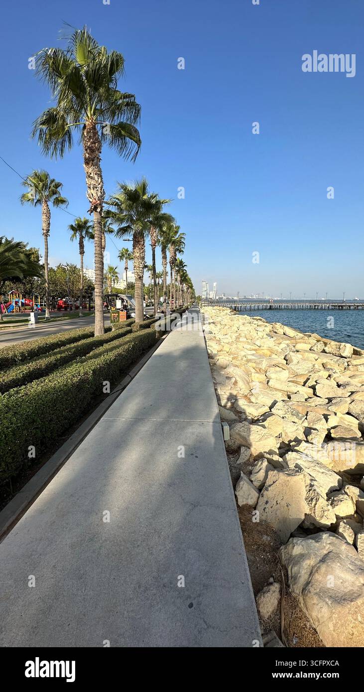Modern seaside promenade with palm trees and a boardwalk leading toward ...