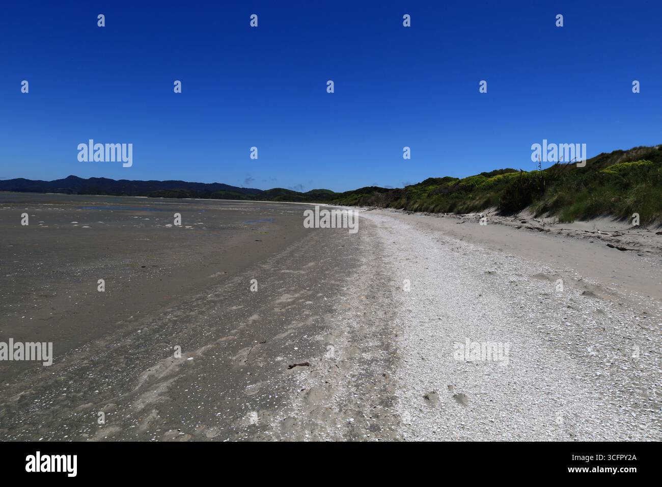 Farewell Spit is a narrow sand spit at the northern end of the Golden ...